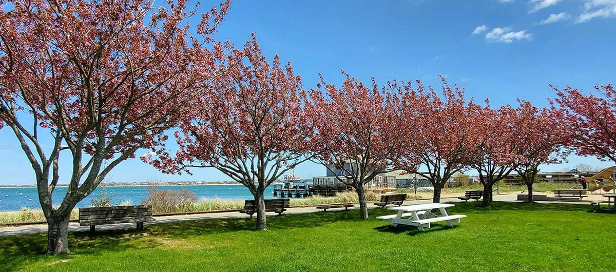 Nantucket Real Estate