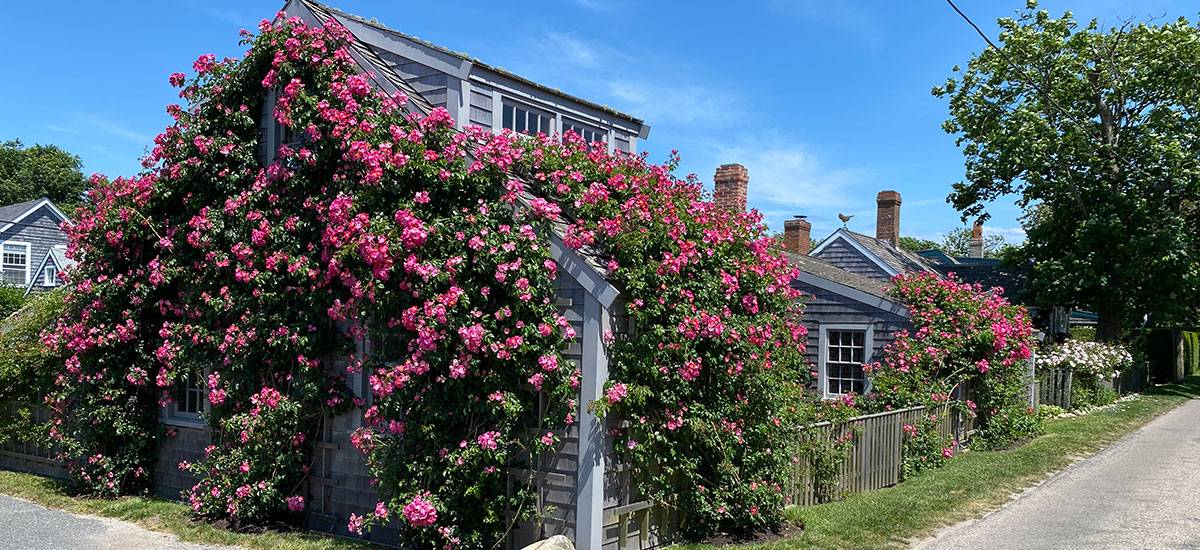 Nantucket - Nantucket